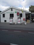Boerenbond (Limburg, Meerssen, Sint Catharinastraat, 4), sera ve bahçe ürünleri  Limburg'dan