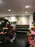 Van Beest Bloemen EN Planten (Wouda No:23), çiçek teslimatı