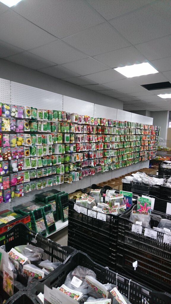 Sera ve bahçe ürünleri Мир увлечений, Mytişçi, foto