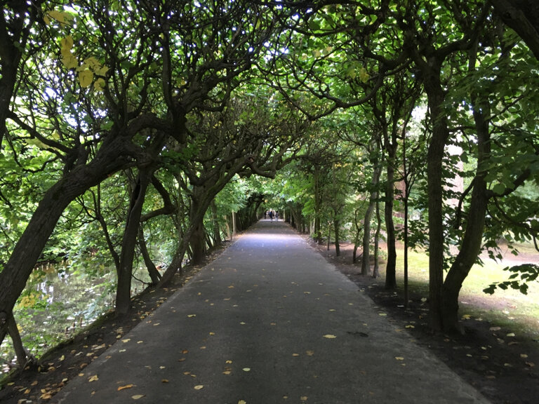 Turistik yerler Adam Mickiewicz Park in Gdańsk-Oliwa, Gdansk, foto