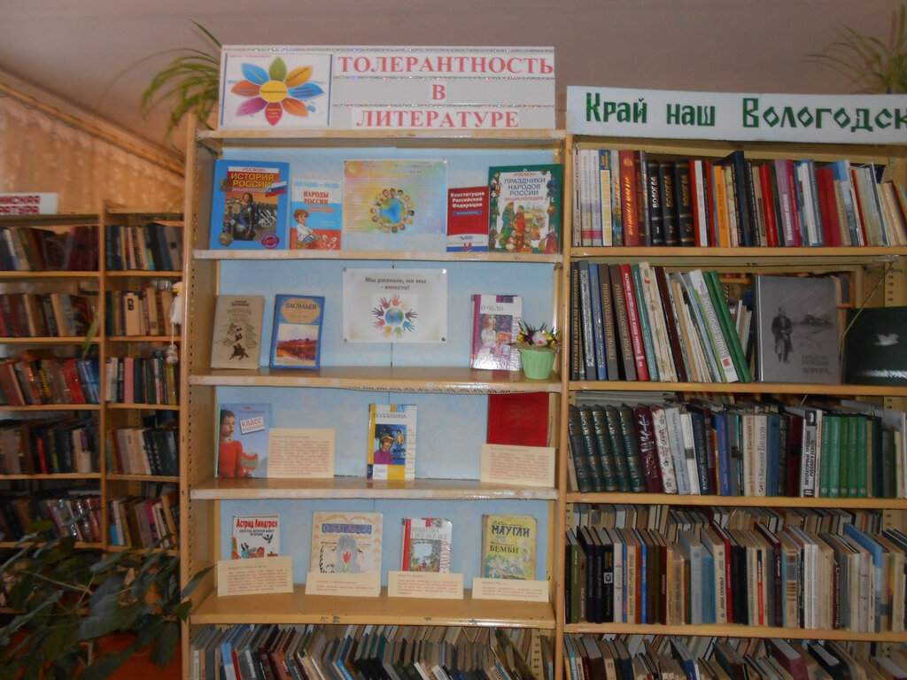 Kütüphaneler Кипеловский библиотечный сельский филиал, Vologodskaya oblastı, foto