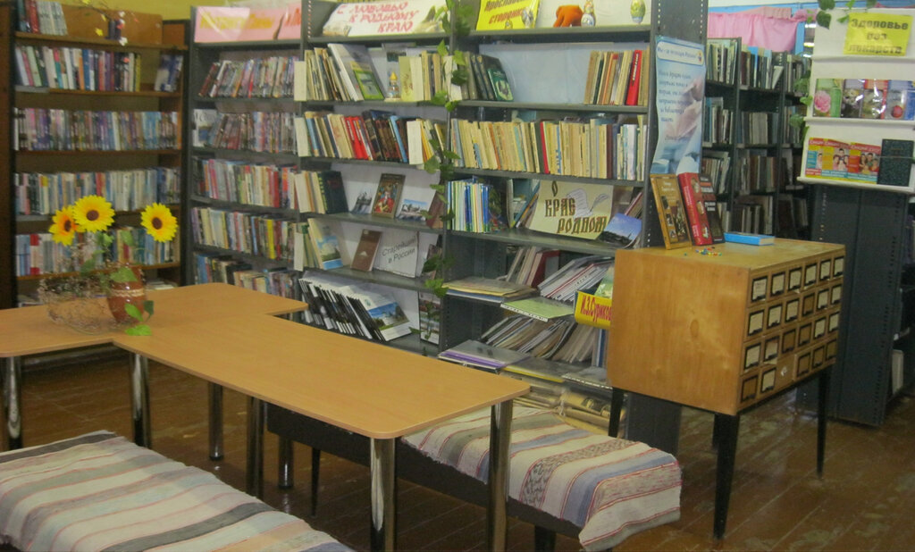 Kütüphaneler Байковская сельская библиотека, Yaroslavskaya oblastı, foto