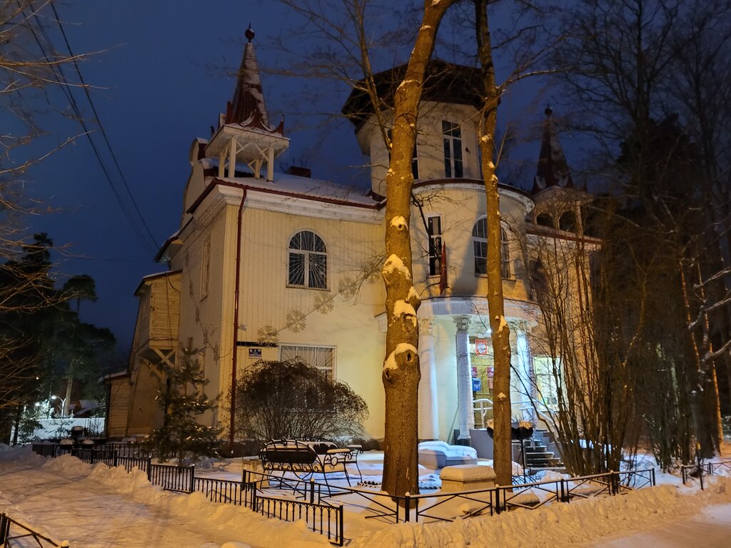 Turistik yerler Дом Тырсина, Saint‑Petersburg, foto