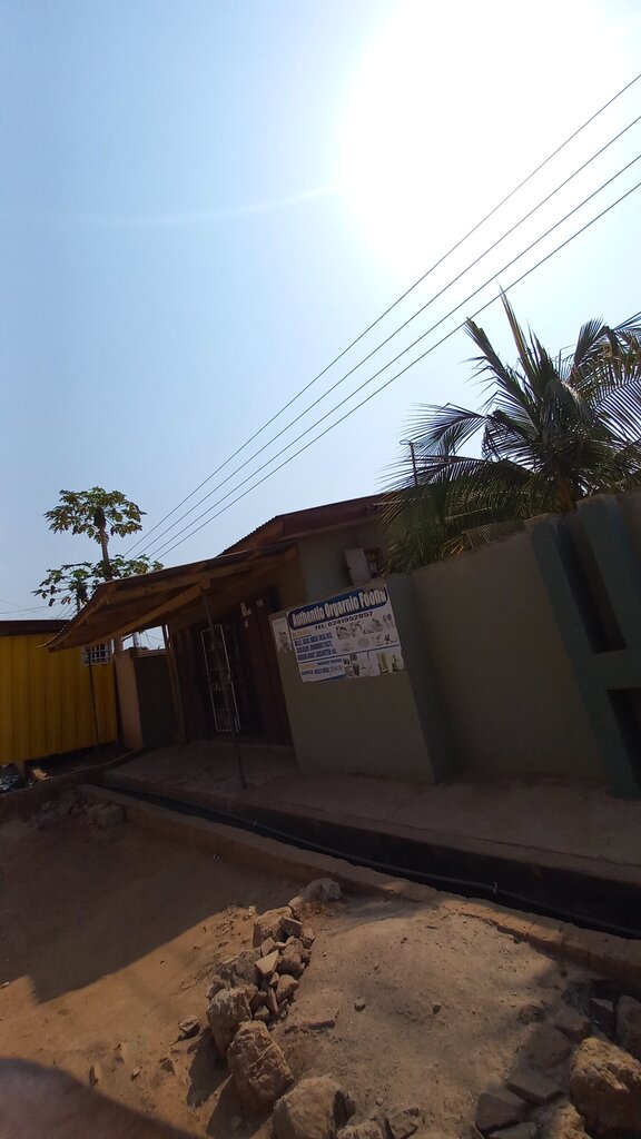 Market Authentic Organic Foods, Dünya, foto