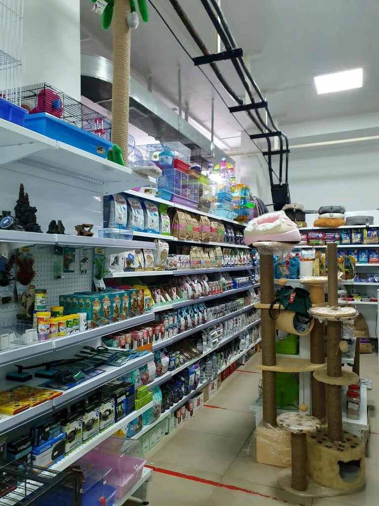 Petshop Kot i Pes, Yakutsk, foto