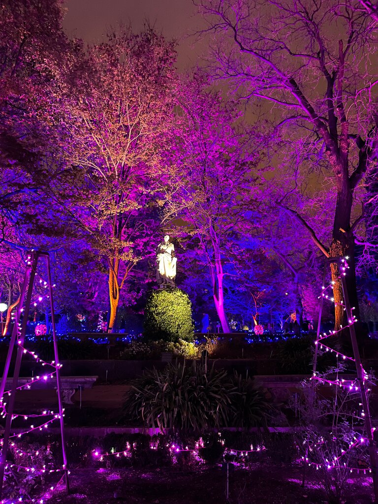 Kültür ve eğlence parkları Real Jardin Botánico, Madrid, foto