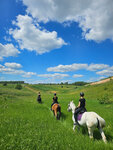 Андромеда (Nizhniy Novgorod Region, Kstovskiy munitsipalny okrug), at ve binicilik kulüpleri  Nijegorodskaya oblastından