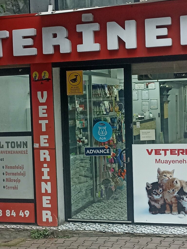 Veteriner klinikleri Animal Town Veteriner Kliniği, İstanbul, foto