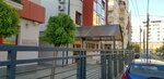 Visoka Strukovna Škola Iceps Novi Sad (Cvećarska ulica No:2), ortaokul  Novi Sad'dan