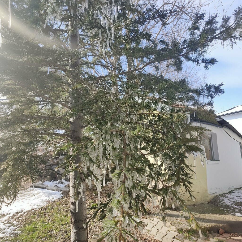 Ortaokul Çivril Ortaokulu, Turhal, foto