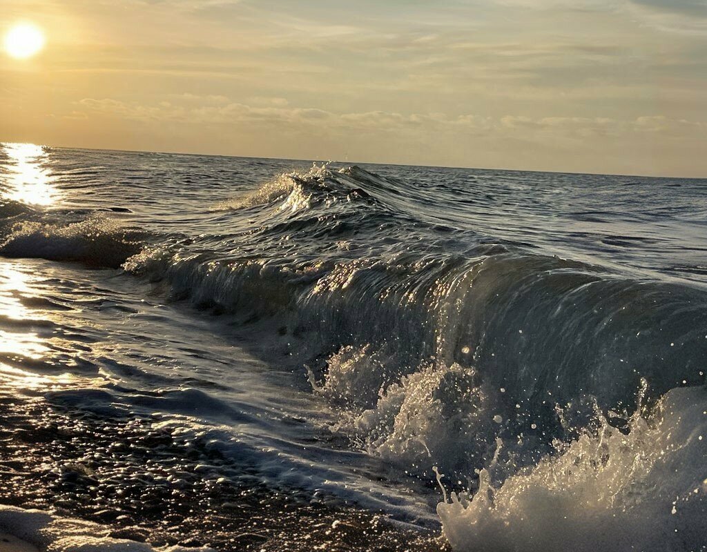 Piknik alanı Sofular Köyü Sofular Plajı Mesire Yeri, Şile, foto