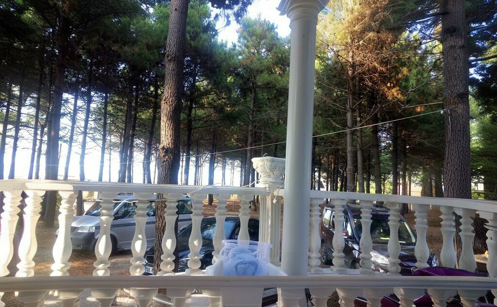 Parklar ve ormanlar Hacı Osman Ormanı, Çarşamba, foto