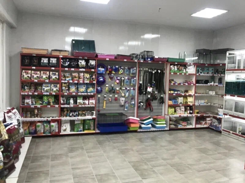 Petshop TerraPet, Brianskaya oblastı, foto