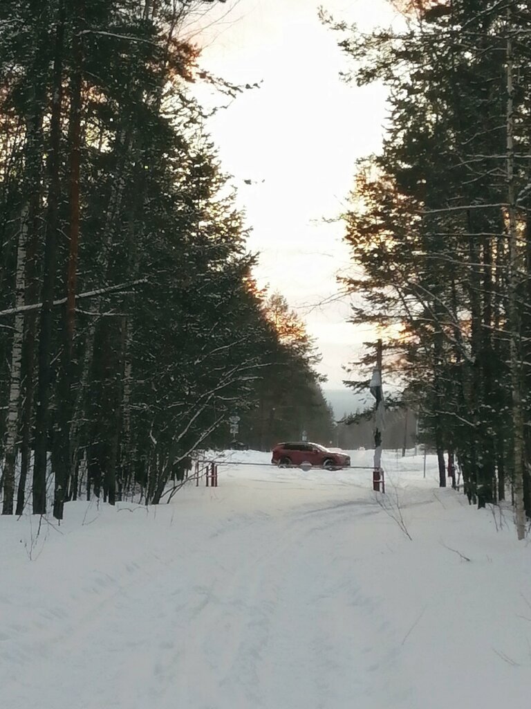Doğa koruma alanı Национальный парк Марий Чодра, Mariy El Cumhuriyeti, foto