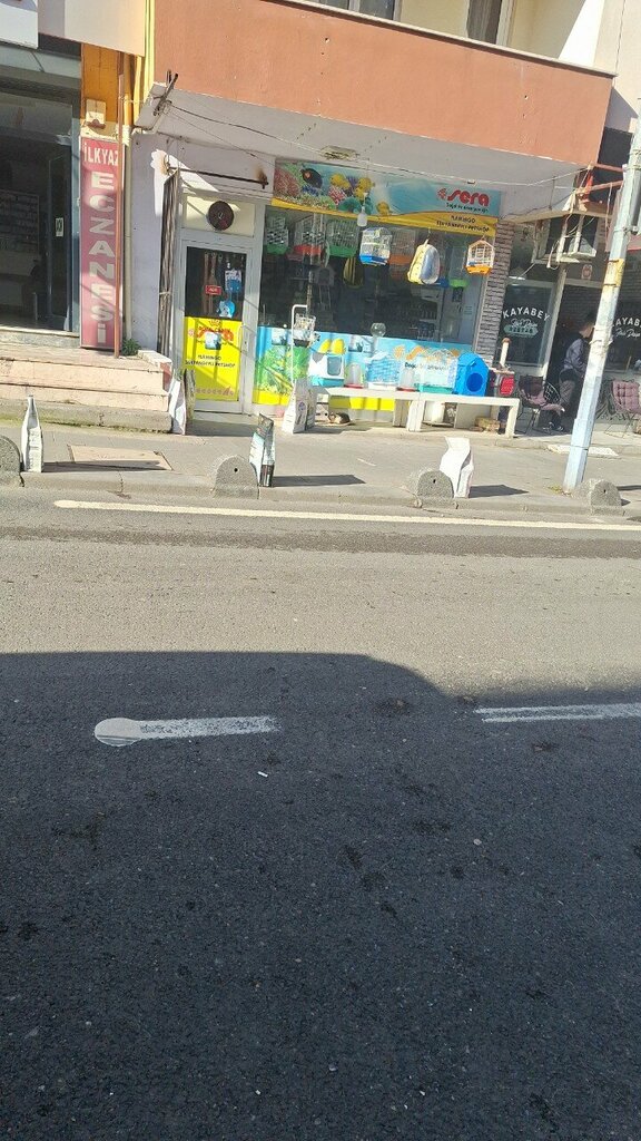 Petshop Flamingo Petshop, İstanbul, foto
