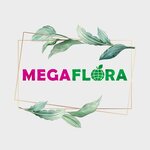 Megaflora (ulitsa Gusarova No:18/1), çiçekçiler  Perm'den