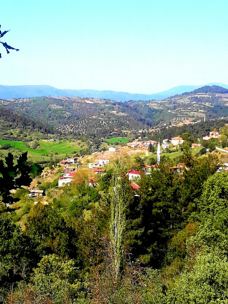 Cami Dağoba Köyü Cami, Bayramiç, foto