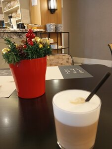 Food & coffee (Milana Rakica Street No:129I), restoran  Belgrad'dan