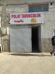 Polat tavukçuluk ak piliç (Gaziantep, Şehitkamil, Sanayi Mah., 60026 Nolu Cad., 17), kasap, şarküteri  Gaziantep'ten