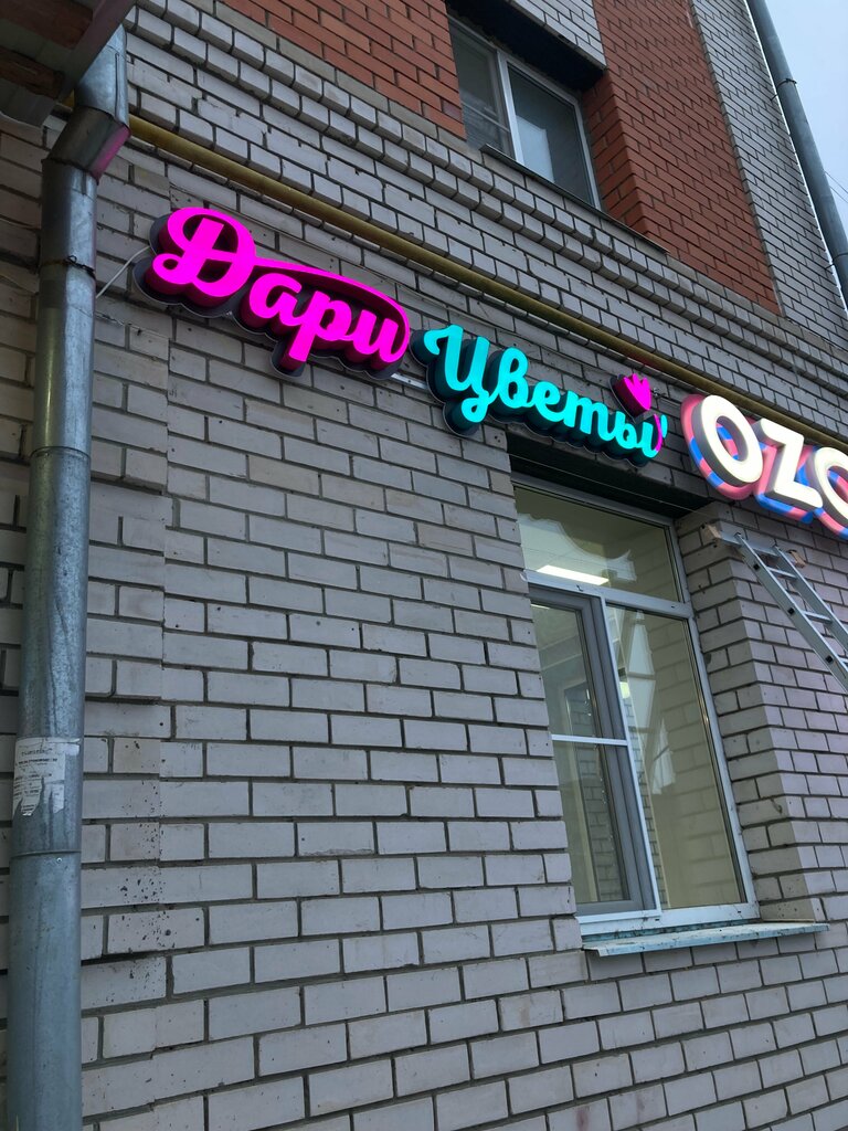 Çiçekçiler Дари Цветы!, Vladimir, foto