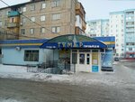 Qiwi (Alashakhan Avenue No:24), ödeme terminali  Jezkazgan'dan