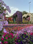 Garden Flowers (Moza Saif Saeed Al Jarwan Building, Muwaileh Commercial, Tugariet Muwaileh, Sharjah), çiçekçiler  Sharjah'tan