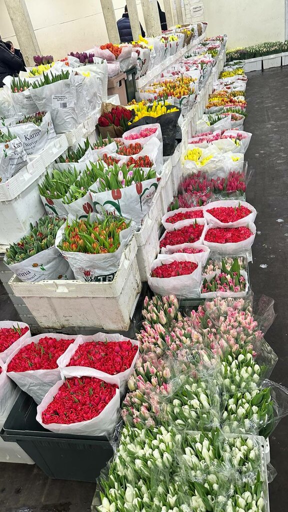 Çiçekçiler Цветы, Moskova, foto