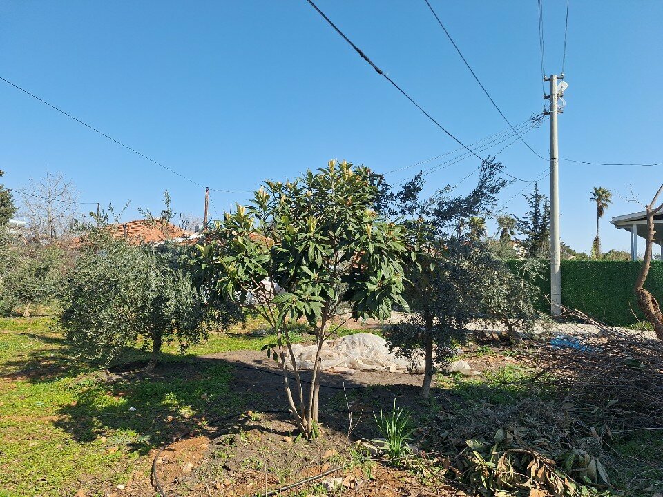 Gıda üreticileri Yeni Gıda, Antalya, foto