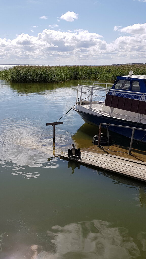i̇skele Jetty , Kaliningradskaya oblastı, foto