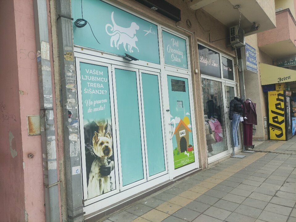 Evcil hayvan kuaförleri Sali, Novi Sad, foto