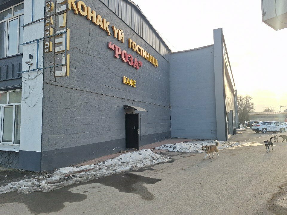 Kafe Rosa, Almatı, foto