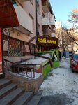 Priroda (Lenina Street No:77), petshop  Tiumen'den