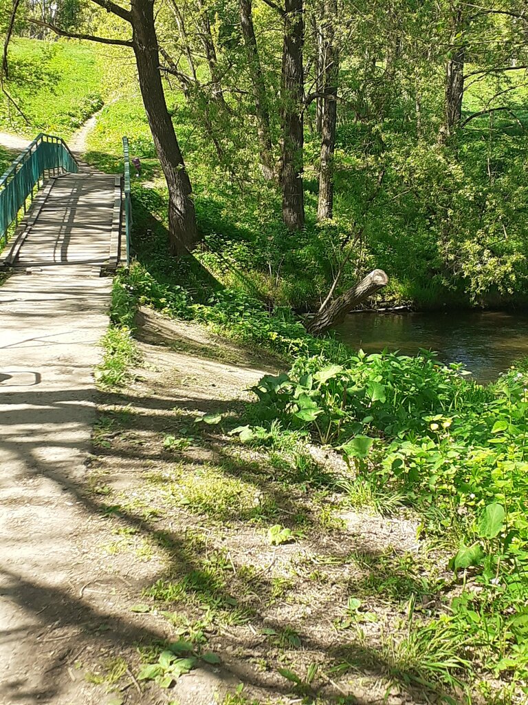 Doğa koruma alanı ландшафтный парк Ватутинский лесной массив, Troitsk, foto