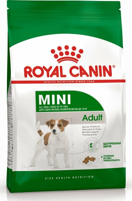 Petshop Zoo Worlds, Moskova, foto