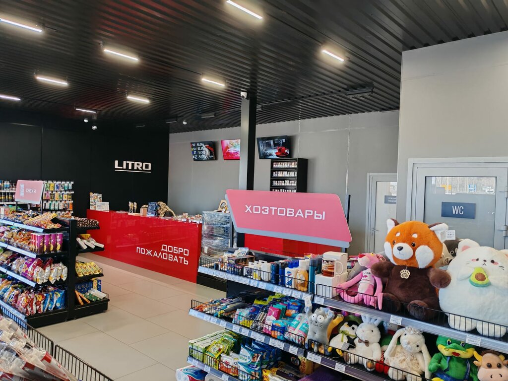 Benzin istasyonu Litro, Voronejskaya oblastı, foto