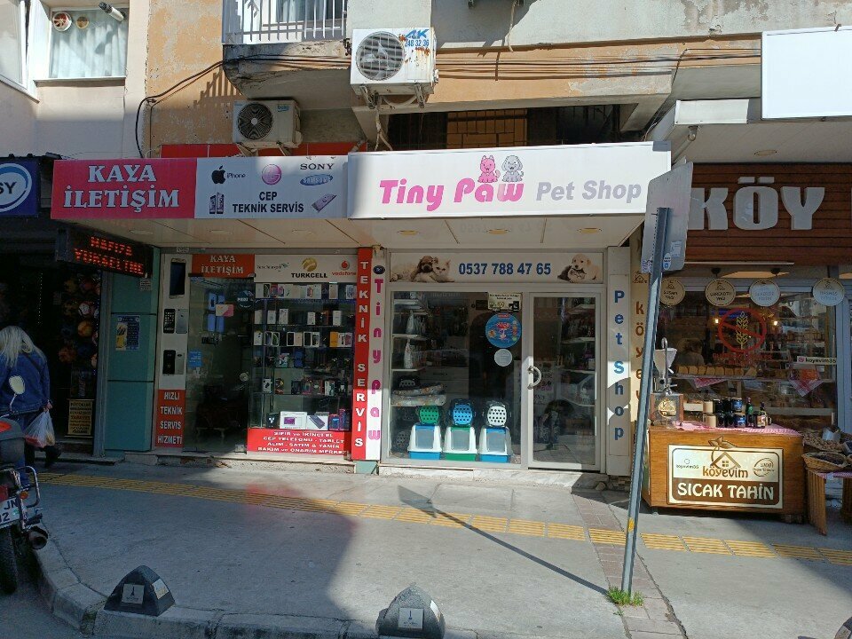Petshop Tiny Paw Pet Shop, İzmir, foto