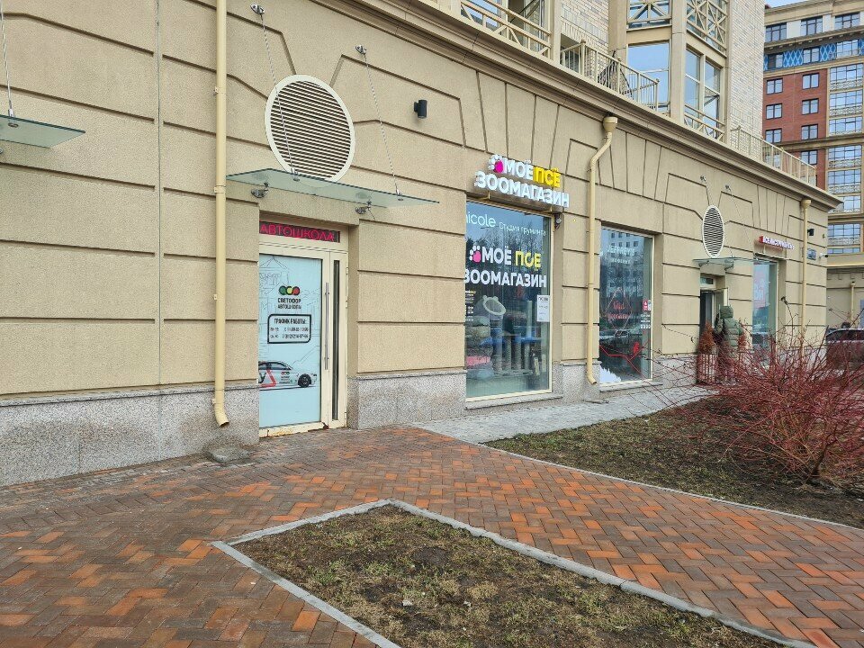 Konuşma terapistleri Логопед, Saint‑Petersburg, foto