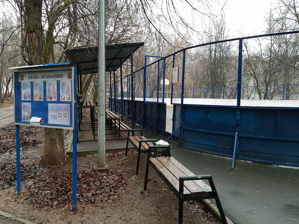 Spor alanı Ice rink, Moskova, foto