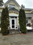 Теремок (Sosnovaya ulitsa No:2, selo Malaya Tsarevshchina), otel  Samarskaya oblastından