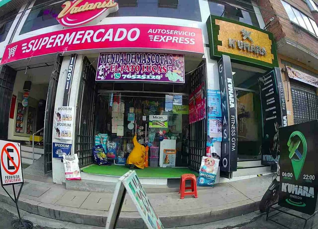 Petshop Daffy Duck, La Paz, foto