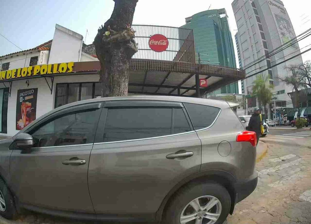 Restoran El Jardin de Los Pollos Equipetrol, Santa‑Krus, foto