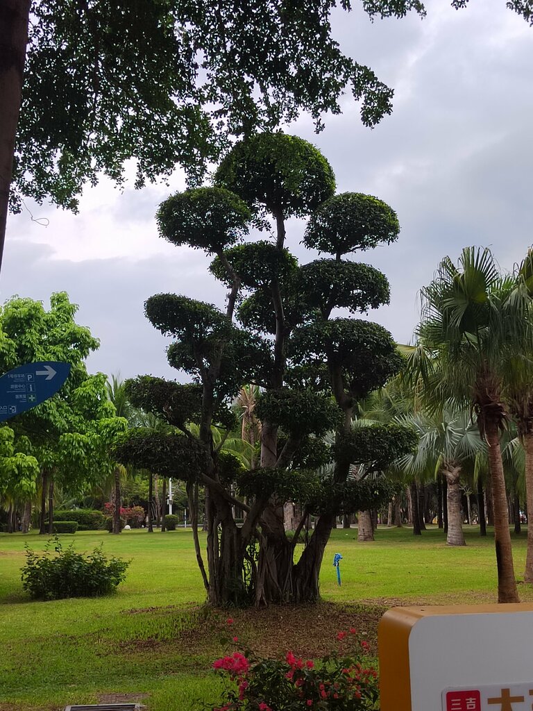 Kültür ve eğlence parkları парк Байлу, Sanya, foto
