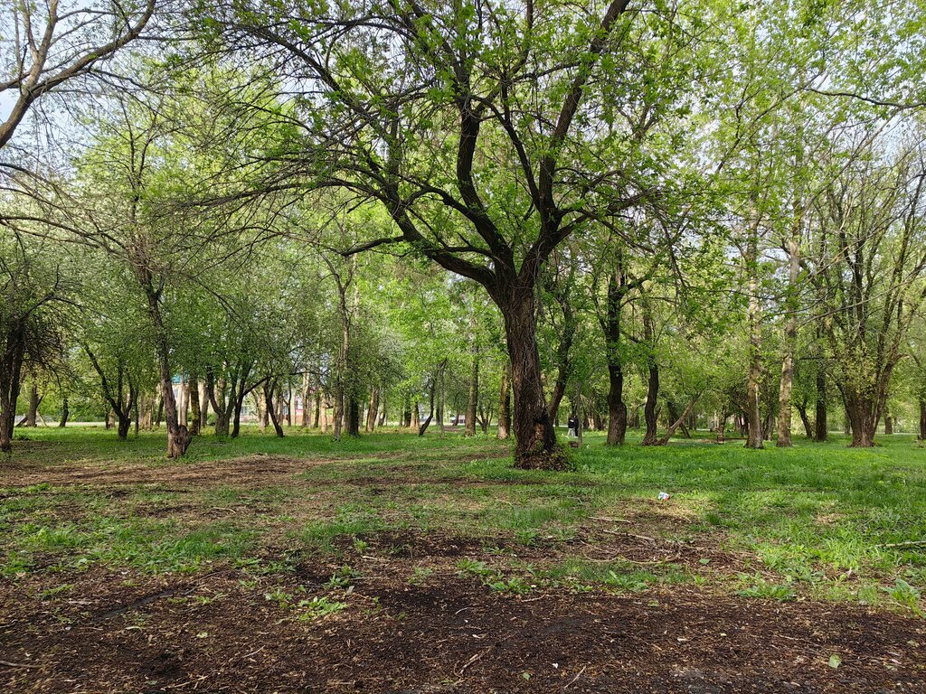 Kültür ve eğlence parkları Школьный сад, Başkurdistan, foto
