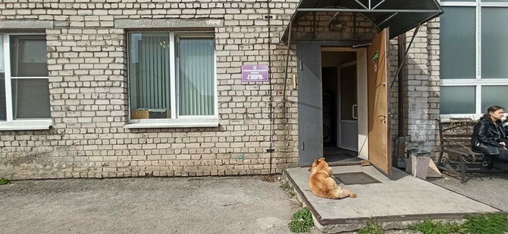 Geri dönüşüm merkezleri Планета 1990, Kaliningrad, foto