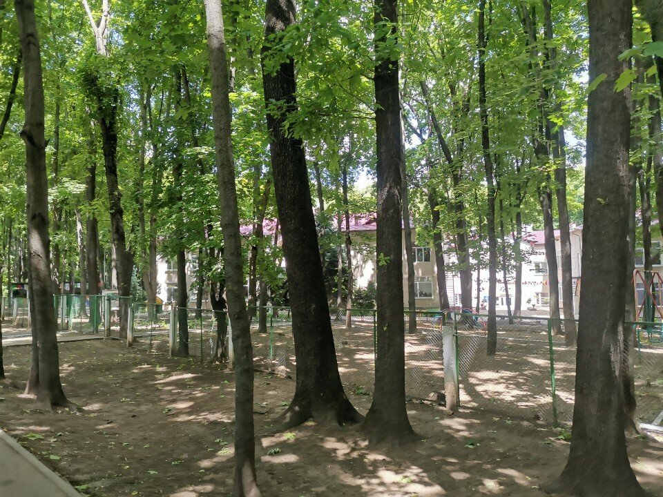 Anaokulları Creşa-grădiniţă № 26, Kişinev, foto