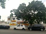 DHL (Luanda, Rua Kwamme Nkrumah), kurye hizmetleri  Loanda'dan