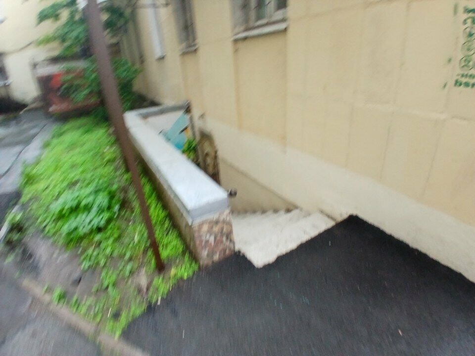 Çocuk gelişim merkezleri Infamly, Saint‑Petersburg, foto
