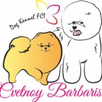 Pitomnik Tsvetnoy Barbaris (3rd Paveletsky Drive No:7к4), evcil hayvan yetiştiricileri  Moskova'dan