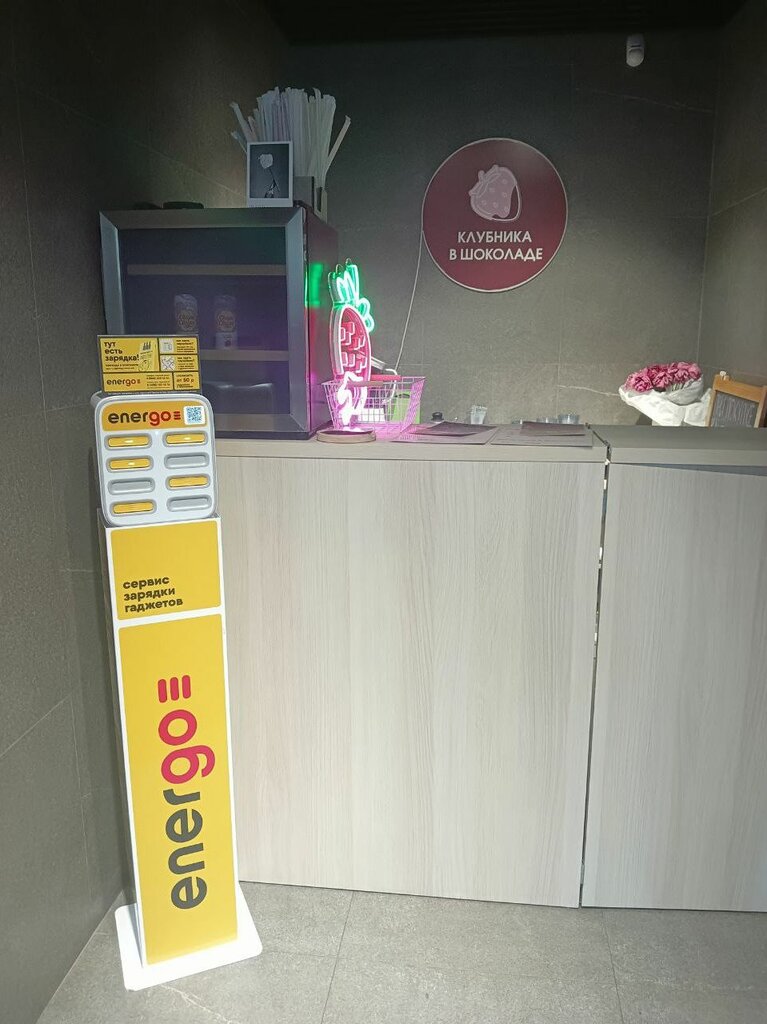 Şarj cihazı kiralama EnerGO, Perm, foto