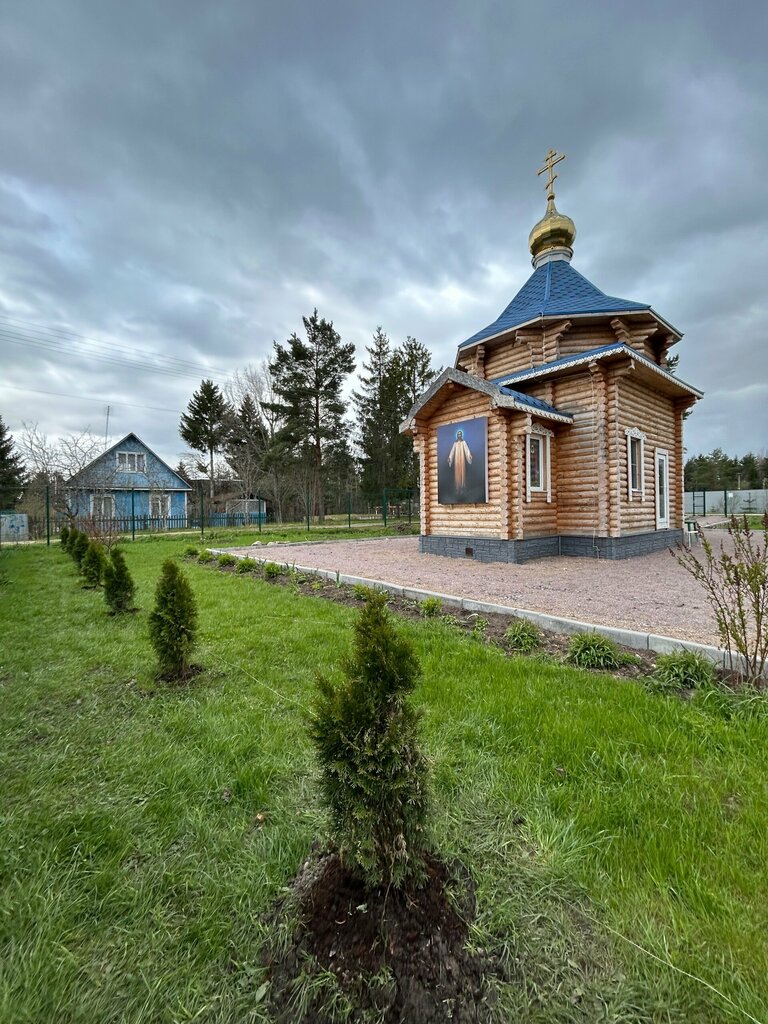 Ortodoks kiliseleri Часовня святого Владимира и святой Ольги, Saint‑Petersburg ve Leningradskaya oblastı, foto